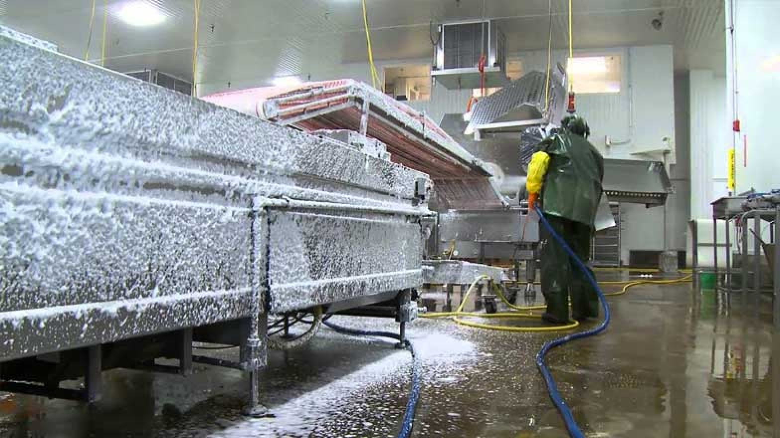 Best Cleaning Products for Food Industry | Cleaning Processes for Food ...